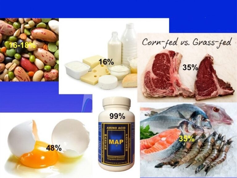 MAP | Master Amino Acid Pattern Italia Ufficiale - Amminoacidi Essenziali